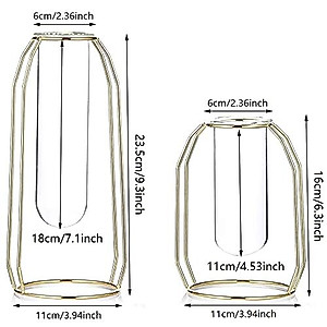 MARATTI 2 Pcs(S+L) Flower Vases with Iron Art Frame, Metal Geometric Flower Vase, Clear Vase Decorative for Home Office Wedding Holiday Party Celebrate (Gold/Rose Gold) (Gold)…