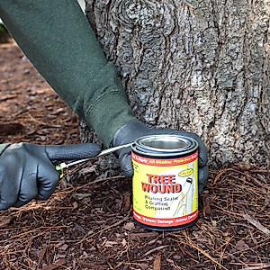 Tanglefoot Tree Wound Pruning Sealer & Grafting Compound