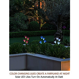 Bright Zeal 3 Bundle 12 Lily LED Fairy Solar Garden Light with Color Changing Flower Lights - Multi Color Solar Lights Outdoor Garden LED Flower Waterproof - Solar LED Metal Flower Stake Lights