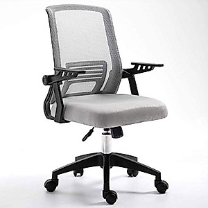 BZLSFHZ Computer Chair Sturdy Adult Personalized Rotating Armrest Removable Hall Chair Internet Cafe Chair (Color : Gray)