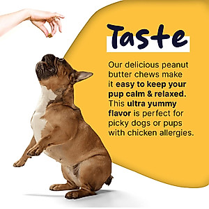 Calming Chews for Dogs with Melatonin - 60 Delicious Soft Treats for Dog Anxiety Relief for Large and Small Dogs - Peanut Butter Flavor - Includes Chamomile, Thiamine, L-Tryptophan