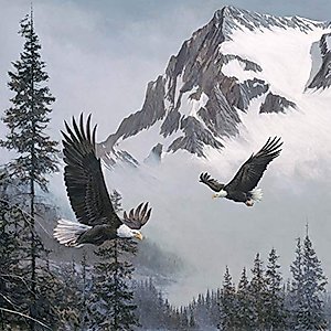Northcott When Eagles Soar 43.5'' Panel Blue Grey Multi Quilt Fabric