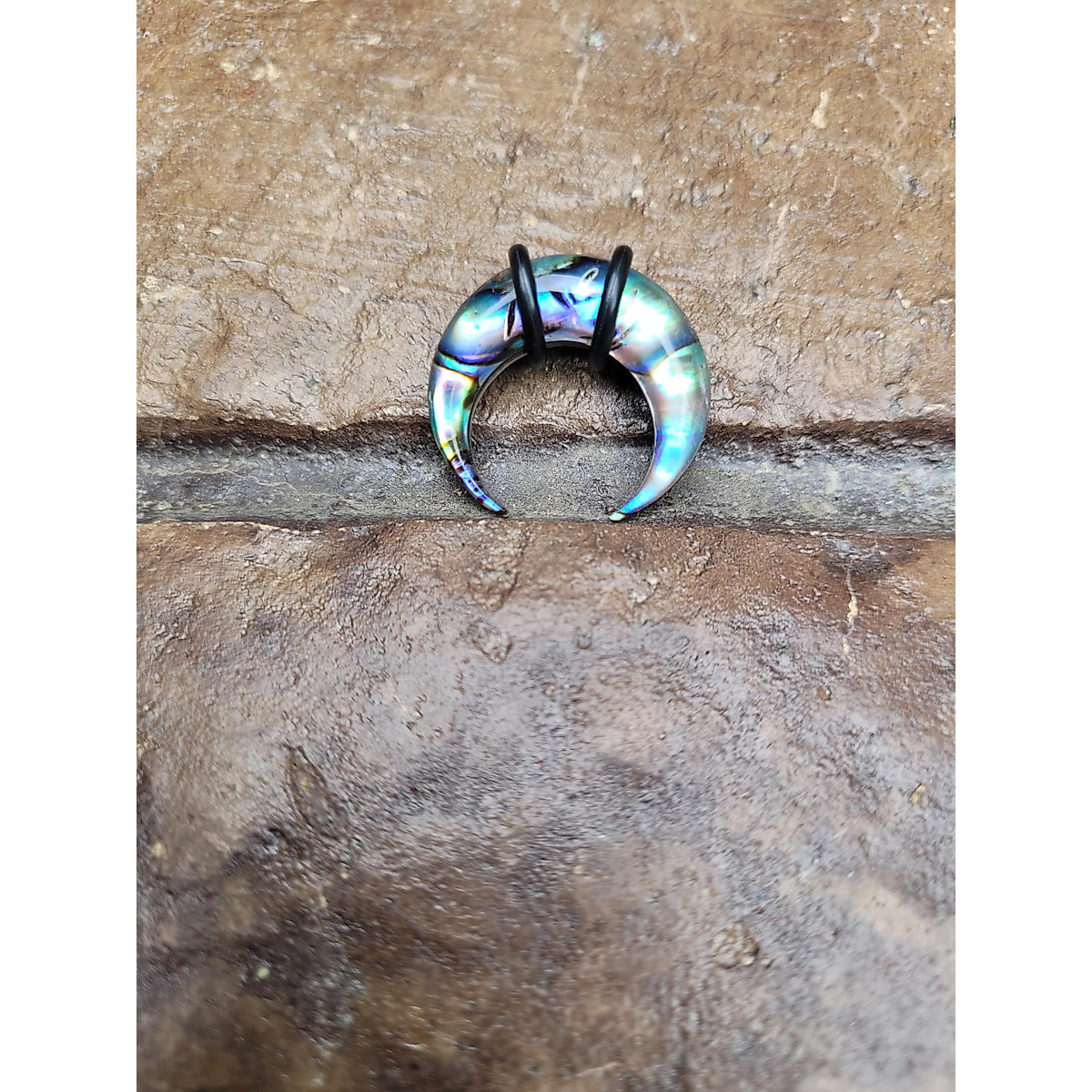 Zaya Body Jewelry Pair Abalone Shell Pinchers Horseshoes 00g 0g 2g 4g 6g 8g Ear Plugs Tunnels Tapers Gauges Septum (2g 6mm)