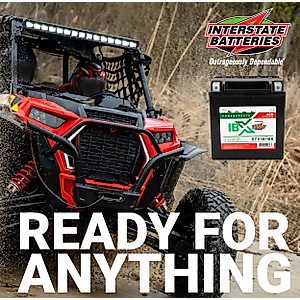 Interstate Batteries YTX16-BS 12V 14Ah Powersports Battery 230CCA AGM Rechargeable Replacement for ATVs, Motorcycles, Scooters (XTX16-BS)