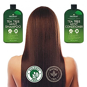 Tea Tree Mint Shampoo and Conditioner - contains Pure Tea Tree Oil & Peppermint Oil - Fights Hair Loss, Promotes Hair Growth, Fights Dandruff, Lice & Itchy Scalp - Men & Women Sulfate Free -16 oz x 2