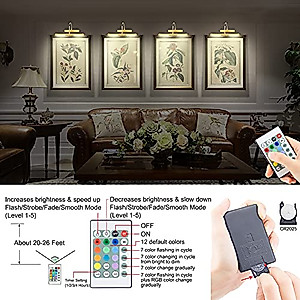 HONGUT Wireless Painting Lights with Remote, Rechargeable Picture Light，28 LEDs Rotatable Light Head with 12 Color Changing, Dimmable Display Light with Timer for Frame, Portrait, Art, Dartboard-Gold