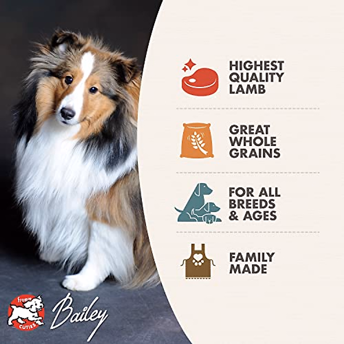 Fromm Four-Star Nutritionals Zealambder Dog Food - Premium Dry Dog Food - Lamb Recipe - 12 lb