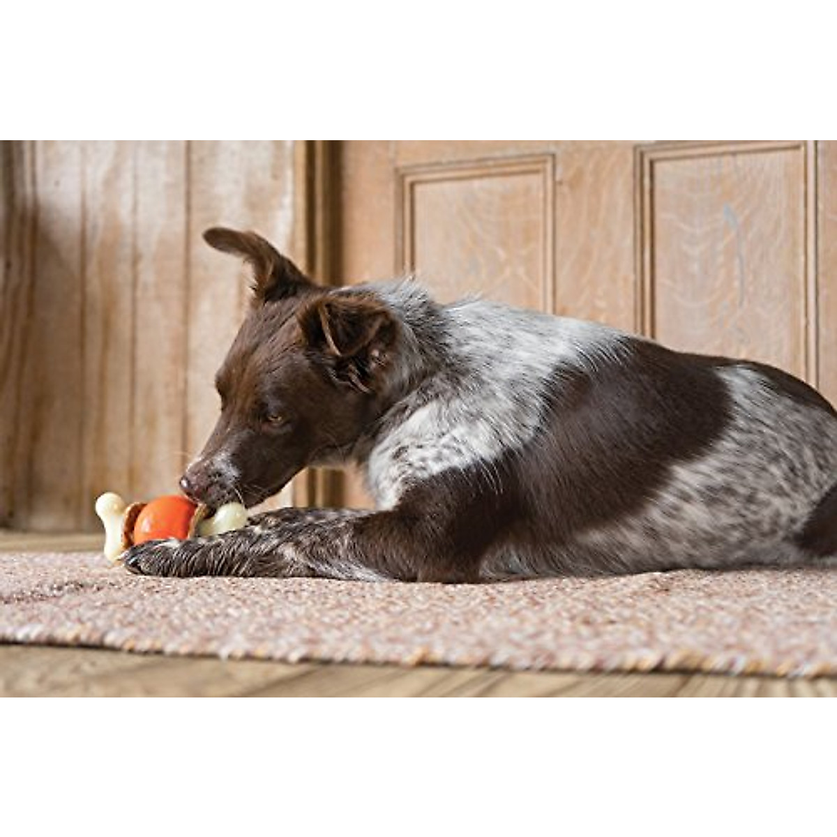 PetSafe Sportsmen Natural Rawhide Treat Refill Rings, Replacement Treats for PetSafe Sportsmen Treat Ring Holding Toys, LARGE (SIZE C RINGS)