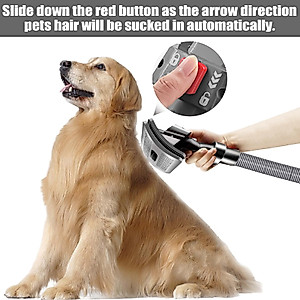 Groom Tool Attachments Brush&Extension Vacuum Hose Compatible with Dyson V8 V7 V10 V11 V12 V15 Vacuum Cleaner with Quick Release Converter Adapter Dog Pet Groom Tool(Brush&Extension Hose&Trigger Lock)