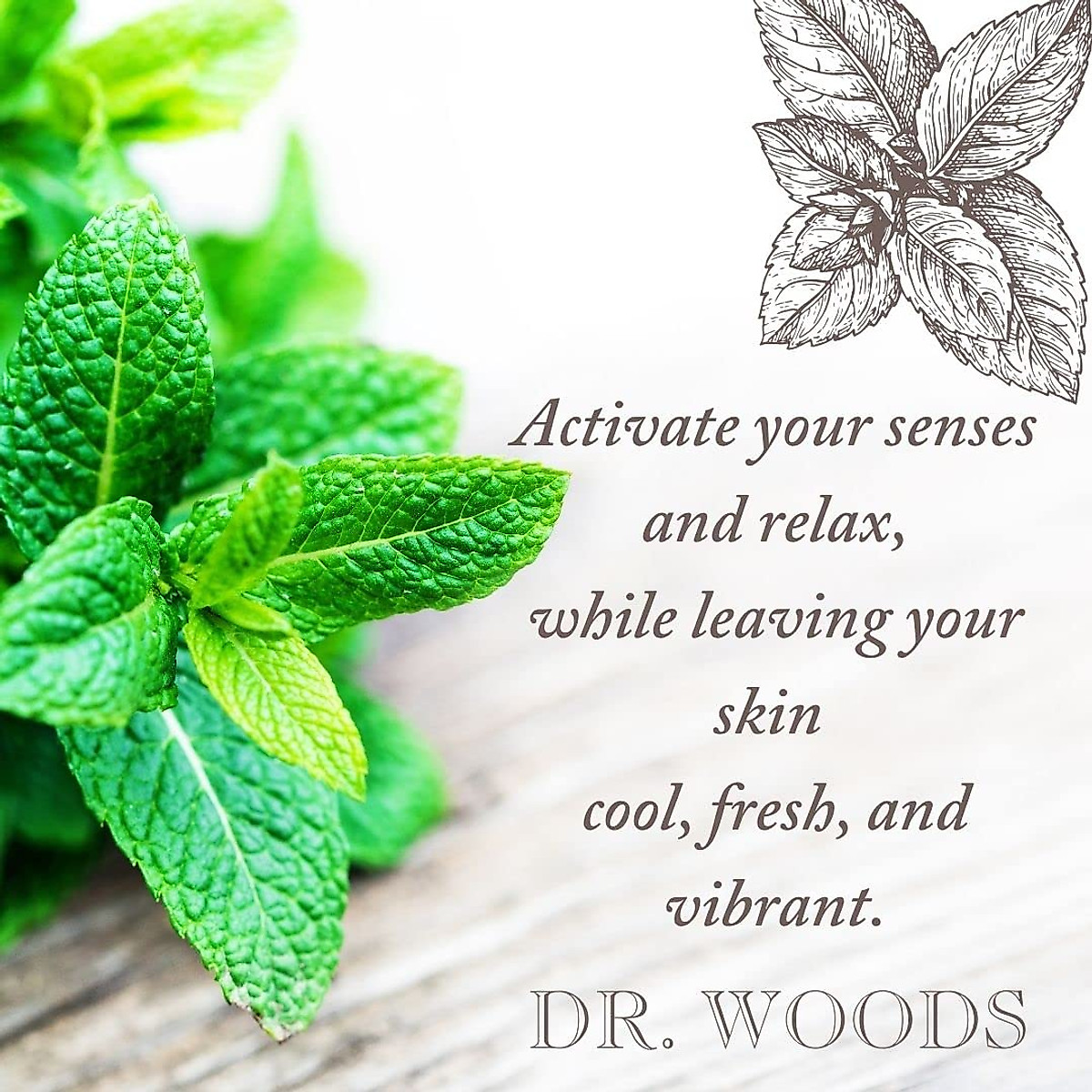 Dr. Woods Pure Peppermint Liquid Castile Soap, 32 Ounce (Pack of 3)