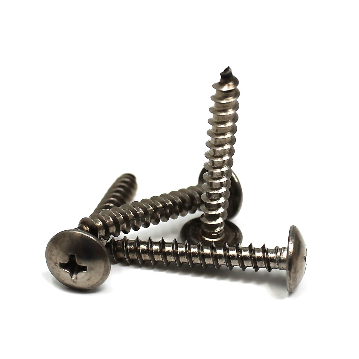 10 x1-1/4" SS Phillips Truss Head Screw Set 80 Piece Dock Bumper Edging Piling Cone Fastener