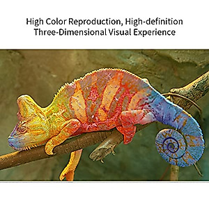 Eboxer 72inch HD Anti Crease Portable Projection Screen,Foldable Non Crease White Projector Curtain Projection Screen,for Wall/Bound onto a Frame,Support Double Sided Projection for Home/Open air