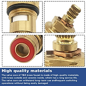 013787-45 Ceramic Cartridge Assembly Compatible with T/S Brass Faucets,Hot Ceramic Cartridge Faucet Parts Replace,Temperature 40F-140F,Pressure 20PSI-125PSI