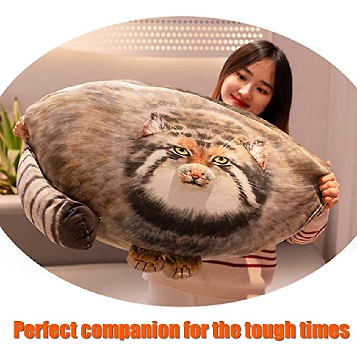 WEERSHUN Cat Plush Body Pillow, Fox Plush Pillow, Raccoon Plush Pillow, Soft and Comfortable Stuffed Animal Plush Pillow for All Ages, Great Gift Option for Boys Girls and Friends (Cat-45/18in)