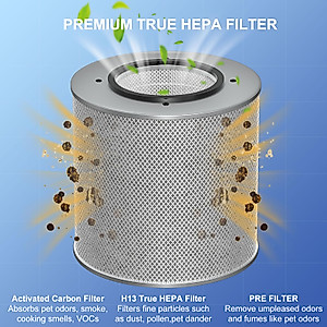 Ganteny HM400 True HEPA Filter Replacement Compatible with Austin Air Healthmate FR400, HM400, HM402, HM405, HM410, HM450 Air Cleaner Purifier, 1 HEPA Filter + 2 Pre-Filters