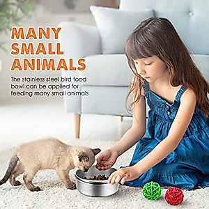 6 Pcs Bird Food Bowl Bird Feeding Dish Cups Stainless Steel Bird Water Feeder with Clamp 6 Rattan Balls and 4 Grinding Cage Perch Bird Toys Bird Perches for Budgies Parakeet Macaw Small Animals