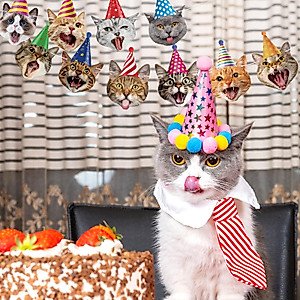 Cat Happy Birthday Banner Cat Birthday Party Decorations Cat Faces Birthday Banner Cat Decorations Banner Garland for Kids Girls Women Cat Birthday Party Supplies