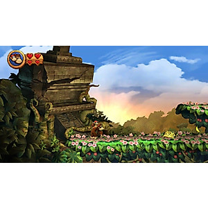 Donkey Kong Country Returns 3D