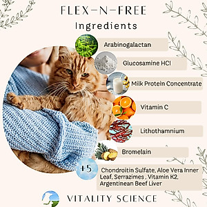 Vitality Science Flex N Free for Dogs | Promotes Healthy Bones & Joints | Relieves Stiffness | Maintains Joint Mobility | Reduces Inflammation | Builds Bone Tissue | 100% Safe & Natural (120g)