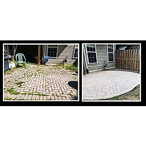 Lonarch Weed & Grass Killer (1 Gallon Concentrate) Eco-Friendly Solution - Safe for Pets, People, and Wildlife…