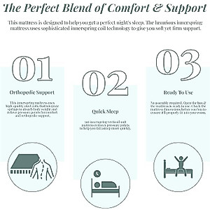 Nutan 10 Inch Foam Encased Mattress with Eurotop, Comfy, and Soft Plush Mattresses Provide Soothing Sleep, Complete Body Support, and Pressure Relief, King