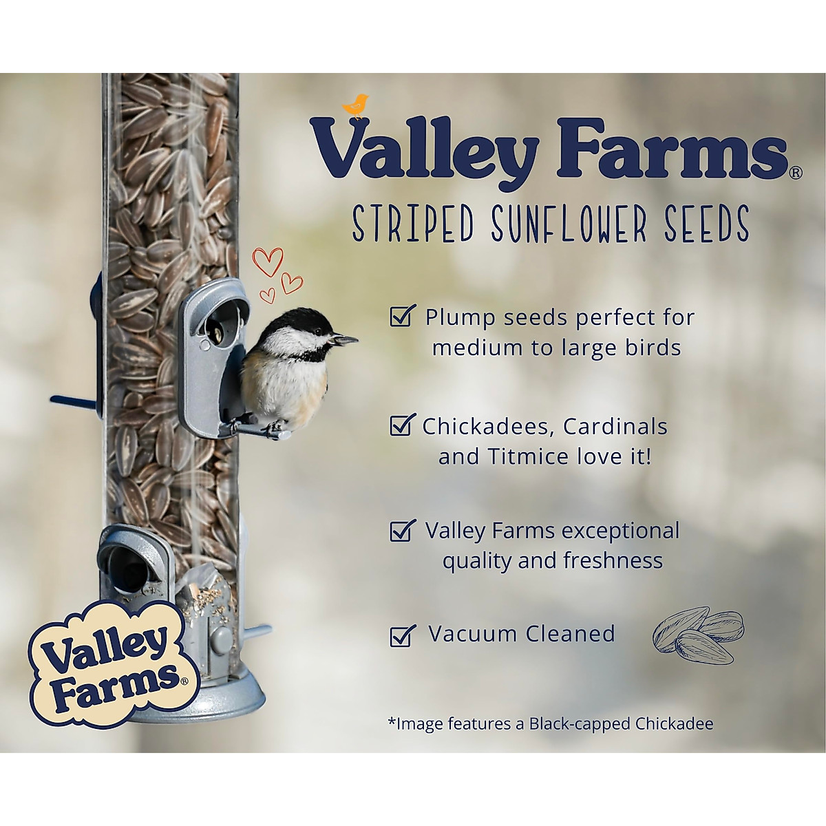 Valley Farms Striped Sunflower Wild Bird Seed for Outside Feeders, Striped Sunflower Seeds for Birds, Sunflower Wild Bird Food (25 LBS)