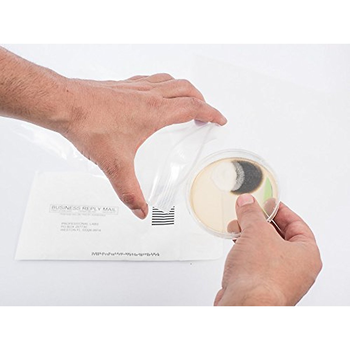 PRO-LAB DIY Mold Test Kit for Home Air Quality, Comprehensive Mold Detection with Expert Consultation, Pre-Paid Mailer, Detailed Emailed Report - Air & Surface Testing, 40 Lab Analysis Fee Required