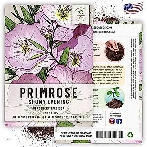 Seed Needs, Showy Evening Primrose Seeds - 6,000 Seeds for Planting Oenothera speciosa - Pink Blooms, Attracts Butterflies/Pollinators (2 Packs)