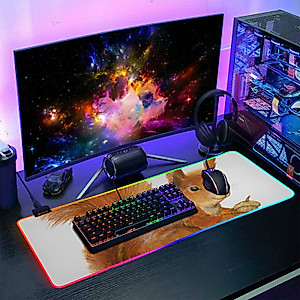 Large RGB Gaming Mouse Pad Squirrel Acorn On White Glowing Extended Mousepad 31.5x11.8in, Soft Anti-Slip Rubber Base Luminous Mouse Mat for Pc Laptop, Gaming, Office, Home