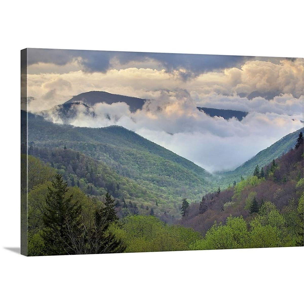 CANVAS ON DEMAND Great Smoky Mountains National Park, North Carolina Canvas Wall Art Print by Adam Jones, Home Decor, United States Artwork, 36"x24"