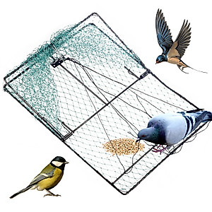 Bird Trap Outdoor Hunting Trap Bird Nets Camping Hunting Cage Tools Cage Trap,Sturdy Upgraded Version of The Breeding Hunting Animal Traps for Birds Pigeons Chinken Duck Pheasant (18x20 inches)