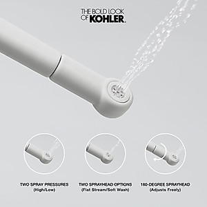 KOHLER 28144-HB1 K-28144-HB1 Purewash Portable Bidet, Honed Black