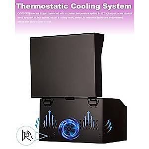 COOSEON Acrylic Skincare Fridge 10 Liter With Adjustable HD Mirror Light Thermostatic Mini Beauty Fridge with Removable Divider Shelf, Cosmetic fridge for Makeup, Bedroom, Office, Room