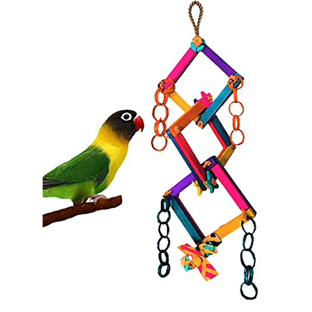 Fetch-It Pets 2 Pack Bird/Parrot Block Party & Fiesta Foraging Toys Suitable for Small Parrots, Parakeets, Cockatiel, Conures, Finches, Budgie, Macaws, Parrots, Love Birds