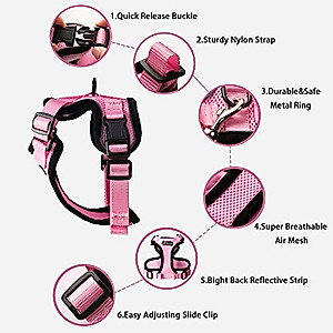 FIIL Cat Harness and Leash for Walking, Escape Proof Soft Adjustable Vest Harnesses for Cats, Adjustable Dog Harness - Reflective and Soft（Pink）. (XS, Pink)