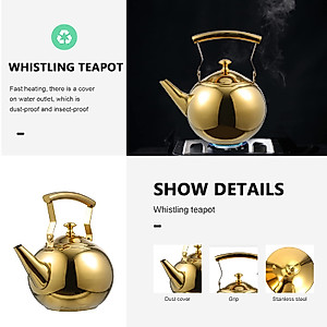 DOITOOL Heavy Duty Tea Kettle Stovetop Whistling Tea Kettle Stainless Steel Teapot for Stovetop with Handle and Infuser 1L Gold