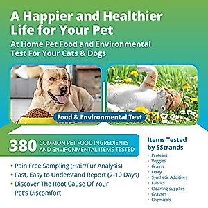 5Strands Pet Food and Environmental Intolerance Test, at Home Sensitivity Test for Dogs & Cats, Hair Sample Collection Kit, 380 Items Tested, Results in 7 Days, Works for All Ages and Breeds