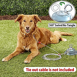360° Swivel Dog Tie Out Stake Dog Anchor – Lifetime Replacement - Heavy Dog Yard Stake Rust Proof Cat Anchor Dog Tether Holds 1000Lbs of Pull Force for Yard Camping Outdoor (All sized animals, Silver)