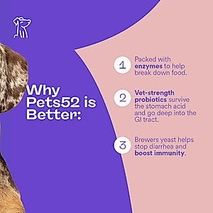 Pets 52 - Digestive Dog Probiotics with Enzymes - Supports Healthy Gut Flora, Boosts Immune System, Promotes Stomach Comfort, Vet-Strength Formula for Improved Digestion - 30-Day Results