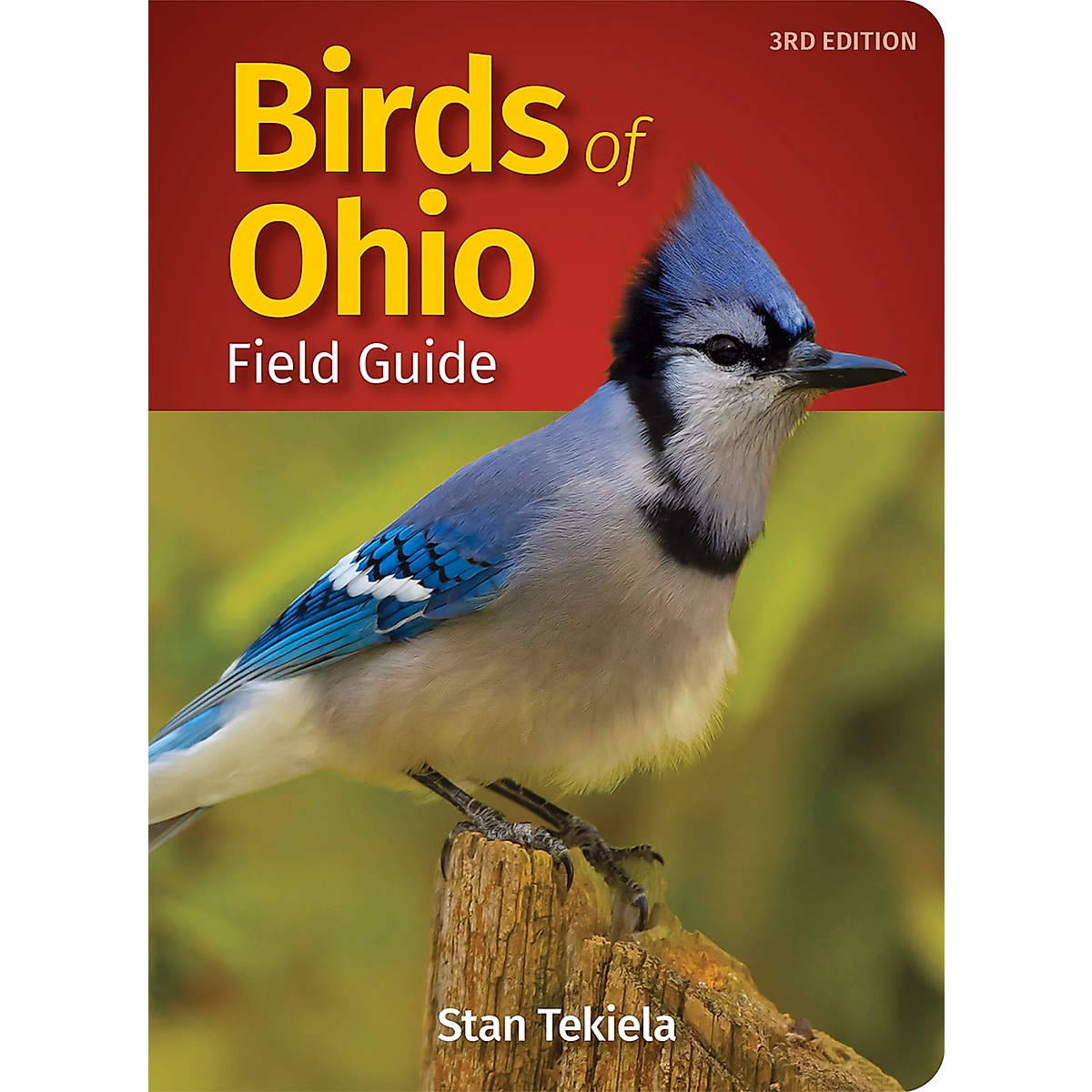 Birds of Ohio Field Guide (Bird Identification Guides)