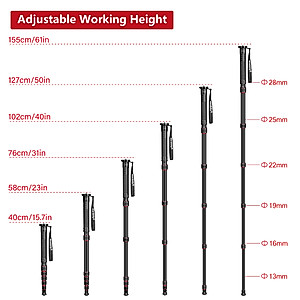Manbily Camera Monopod Aluminum Portable Compact Lightweight Travel Monopod with Carrying Bag Walking Stick Handle,for DSLR Canon Nikon Sony Video Camcorder,6 Sections up to 61-in (A-555L)