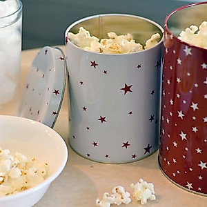 WHW Whole House Worlds 2 Piece Red and White Cookie Tin Set With Detachable Lids, Merry Star Pattern, Cylinders, 5 and 6.25 Inches Tall