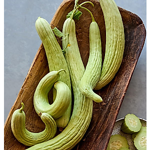 Burpee 'Suyo Long' Cucumber Seeds, 30 Non-GMO seeds, Heirloom