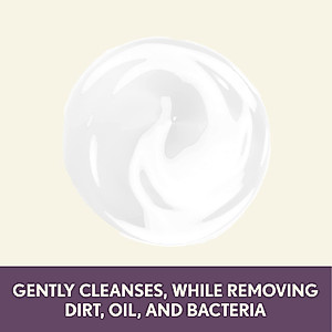 Aveeno Absolutely Ageless Nourishing Cleanser 5.2 Ounce (155ml) (3 Pack)