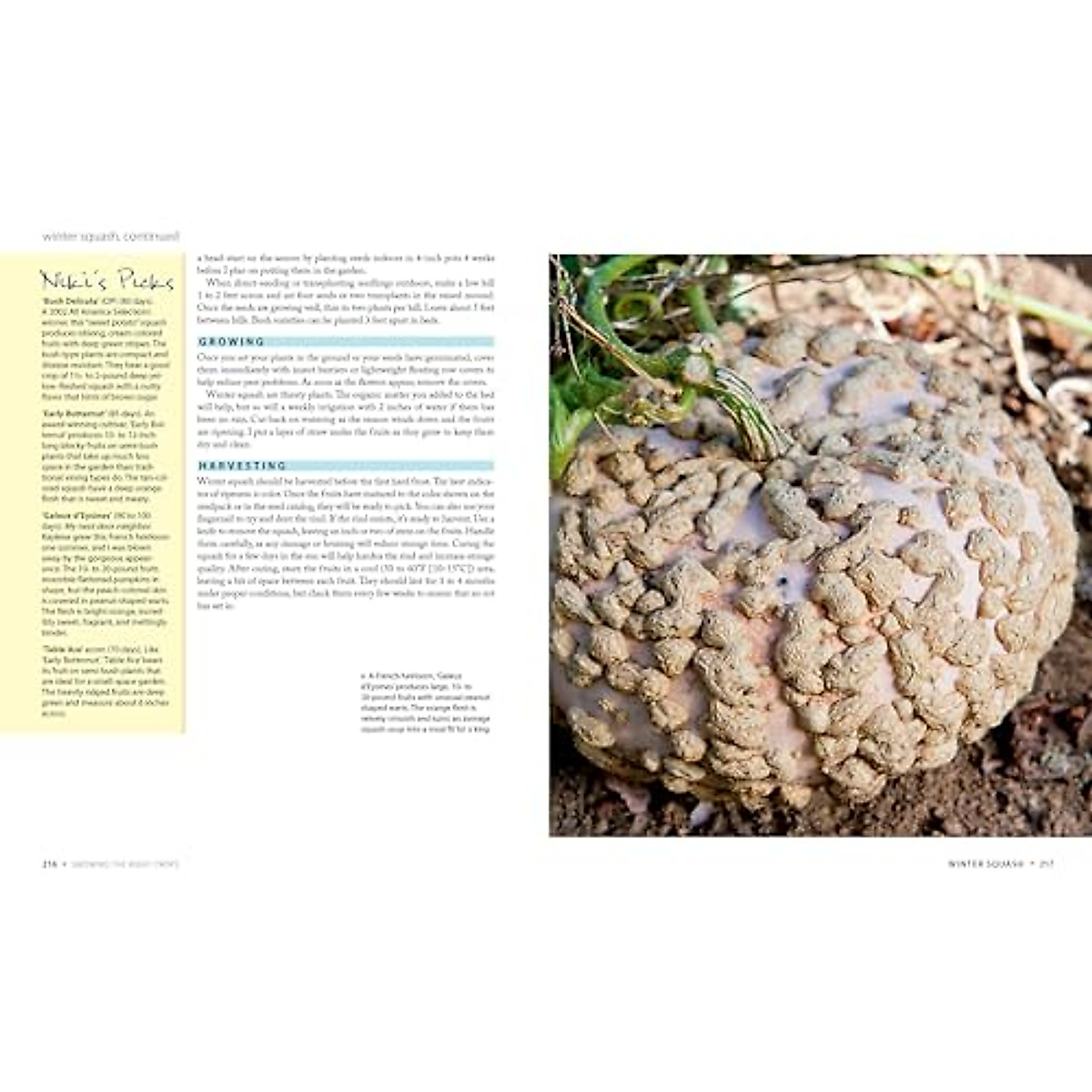 The Year-Round Vegetable Gardener: How to Grow Your Own Food 365 Days a Year, No Matter Where You Live