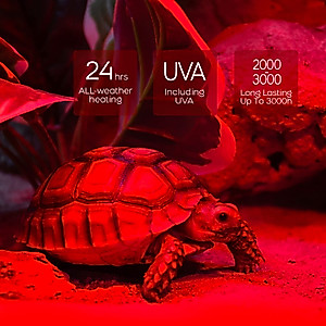 WACOOL 2 Pack Reptile Heat Lamp Bulbs,75W Infrared Basking Spot Light for Reptiles & Amphibians, Red Heat Lamp Bulb for Bearded Dragon Gecko Turtle Lizard