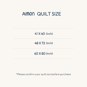 Aimon Weighted Blanket Cover (60"x80", Dark Blue, Queen Size, Side Zipper) Minky Duvet Cover, Super Soft Minky Dot, Removable Weighted Blanket Cover