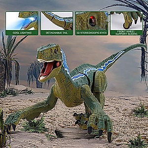 Hiitytin Remote Control Dinosaur Toys for Kids, Raptor Toy Velociraptor Dinosaur Toy with Light Up & Roaring Sound, 2.4G RC Realistic Walking Dino Toy Gifts for Kids Ages 3-12 Years Old (Green)