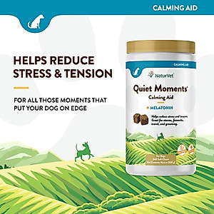 NaturVet Quiet Moments Calming Aid Melatonin Dog Supplement – Helps Reduce Stress in Dogs – for Pet Storm Anxiety, Fireworks, Motion Sickness, Grooming, Separation, Travel – 240 Ct. Chews