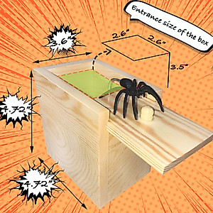 Jishi Large Spider Prank Box Gag Gift, Funny Wooden Surprise Gift Box for Money Cash Card, Spider Stocking Stuffers Prank Toys for Kids 4-8-12 Boys, Christmas White Elephant Gifts for Adults Men Women